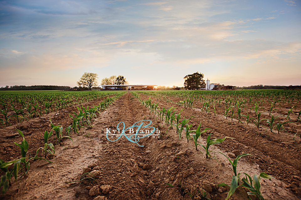Farm Life » Rayville, LA Newborn, Family, Children, & Senior ...